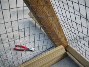 Building a Chicken Ark – Part 3 – The Southern Agrarian