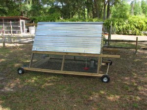 Building a Chicken Ark – Part 3 – The Southern Agrarian