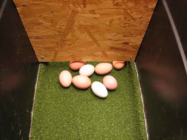 Building a Roll-away Nest Box – The Southern Agrarian