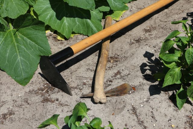 Tools For The Garden – The Southern Agrarian
